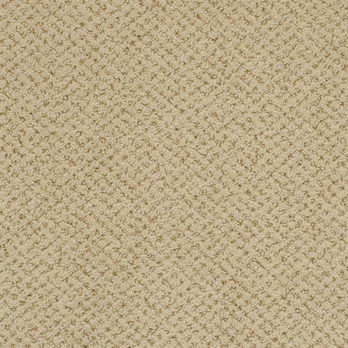 Replace the Wall to Wall Carpeting Condo New Carpet Installed | Floorians
