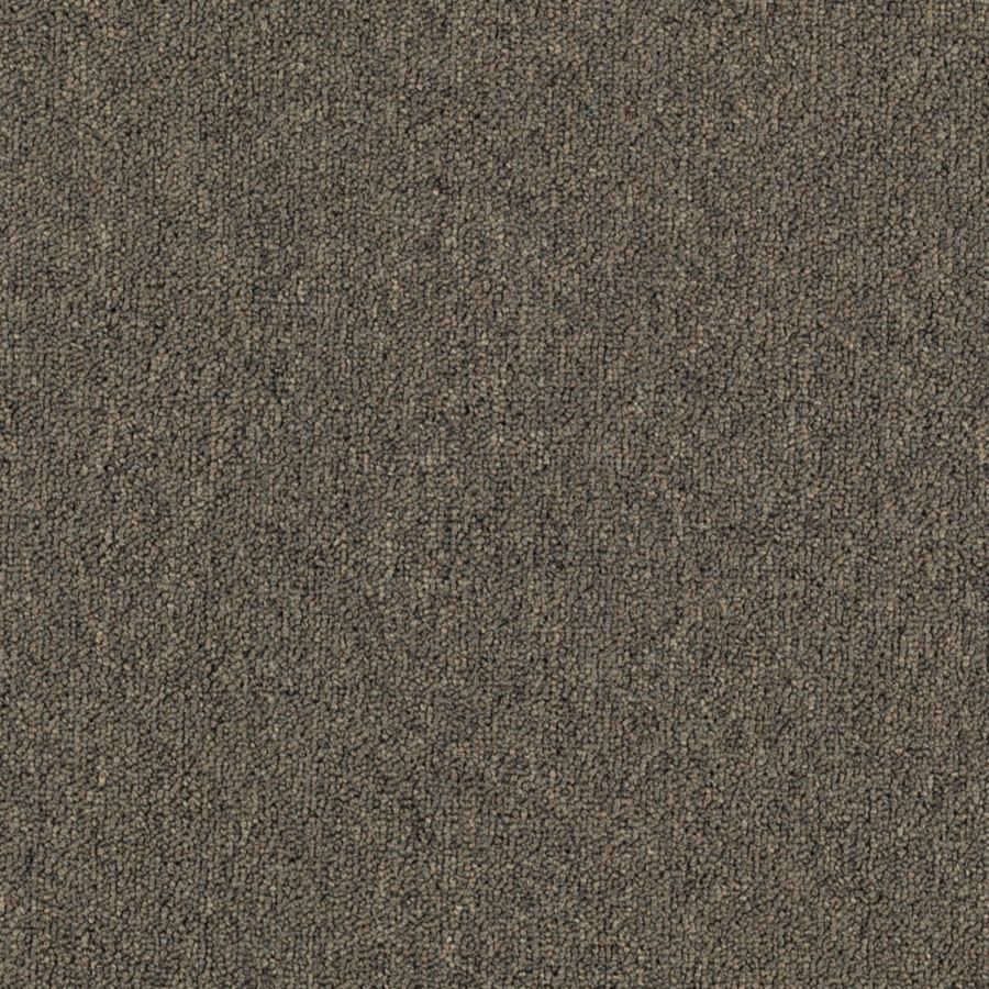Replace the Wall to Wall Carpeting Condo New Carpet Installed | Floorians