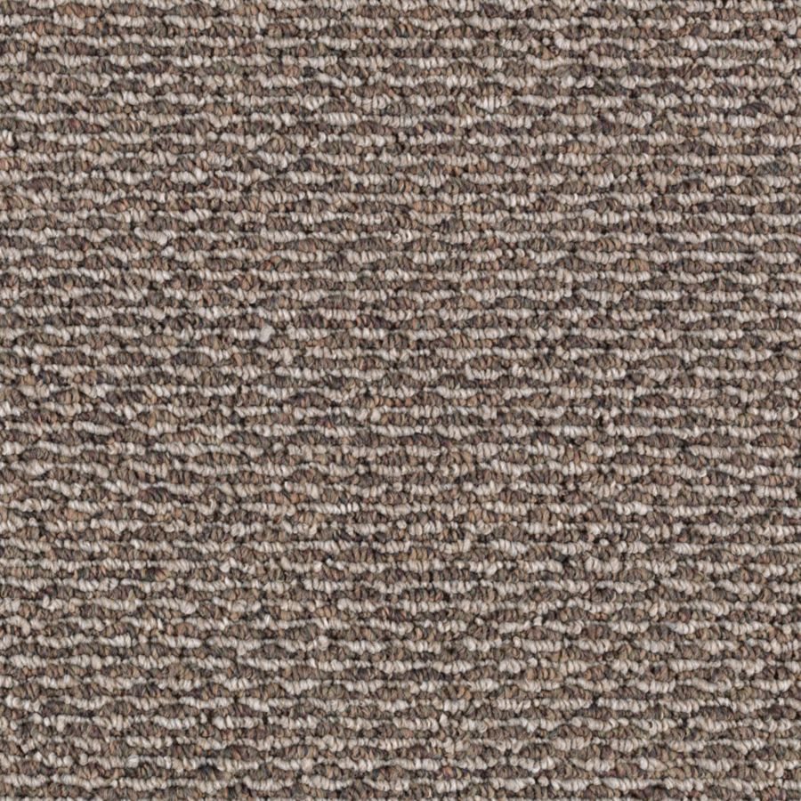 Replace the Wall to Wall Carpeting Condo New Carpet Installed | Floorians